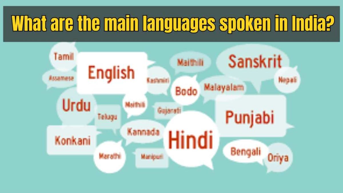 'How Many Languages?' Bengaluru Woman's Post On Language Controversy ...