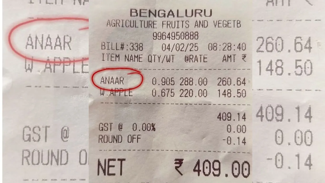 'We Were Supposed To Teach Them One Word A Day...': Kannada-Hindi ...