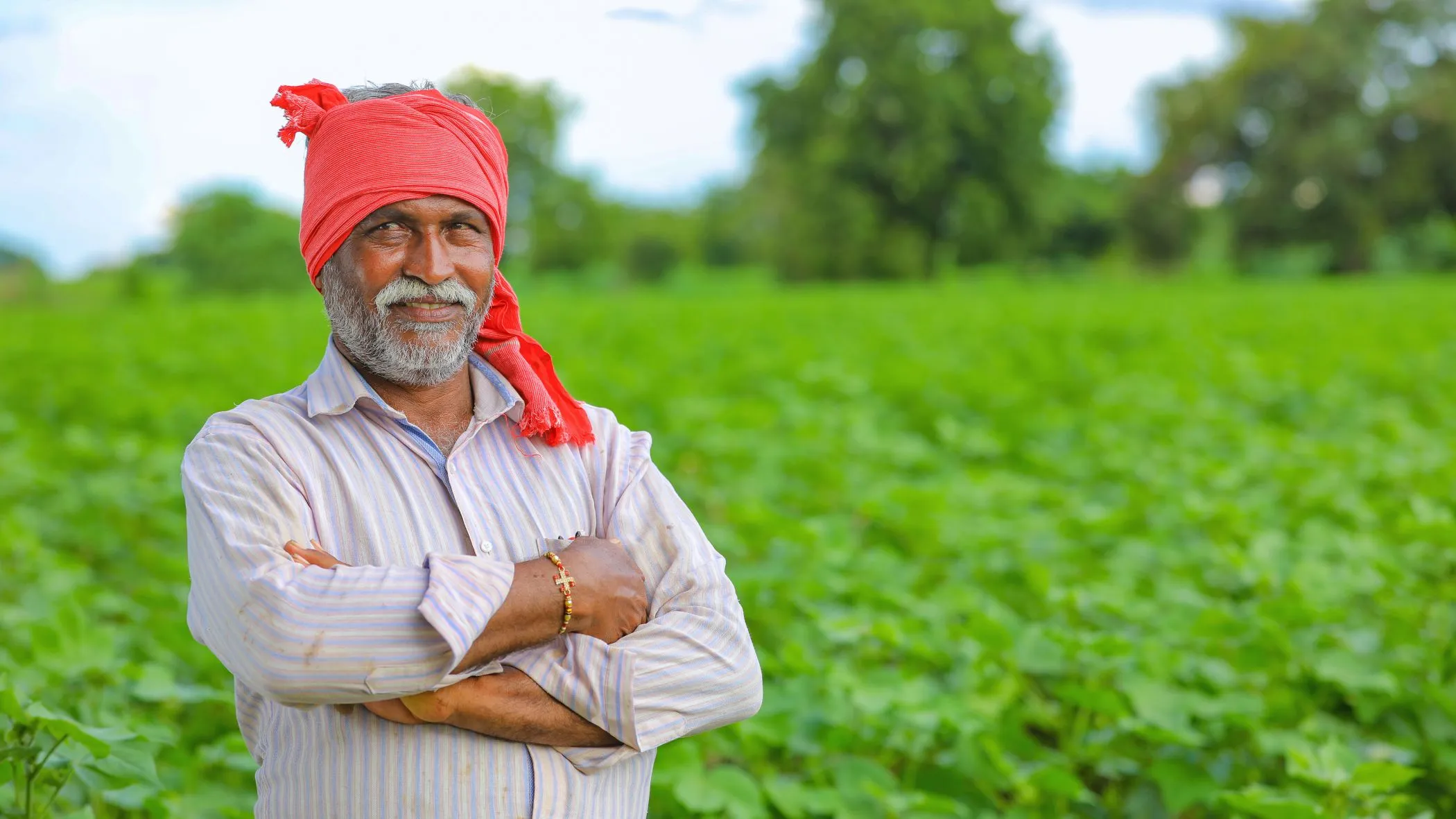 PM Kisan 19th Installment: PM Modi To Release Rs 2000 For Farmers On ...