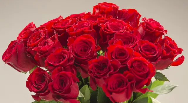 Top 7 Most Expensive Roses In The World: Juliet Rose, Blue Moon Rose ...
