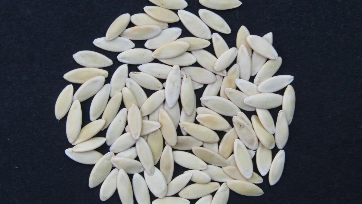 5 Astonishing Benefits Of Eating Cucumber Seeds With Your Meals