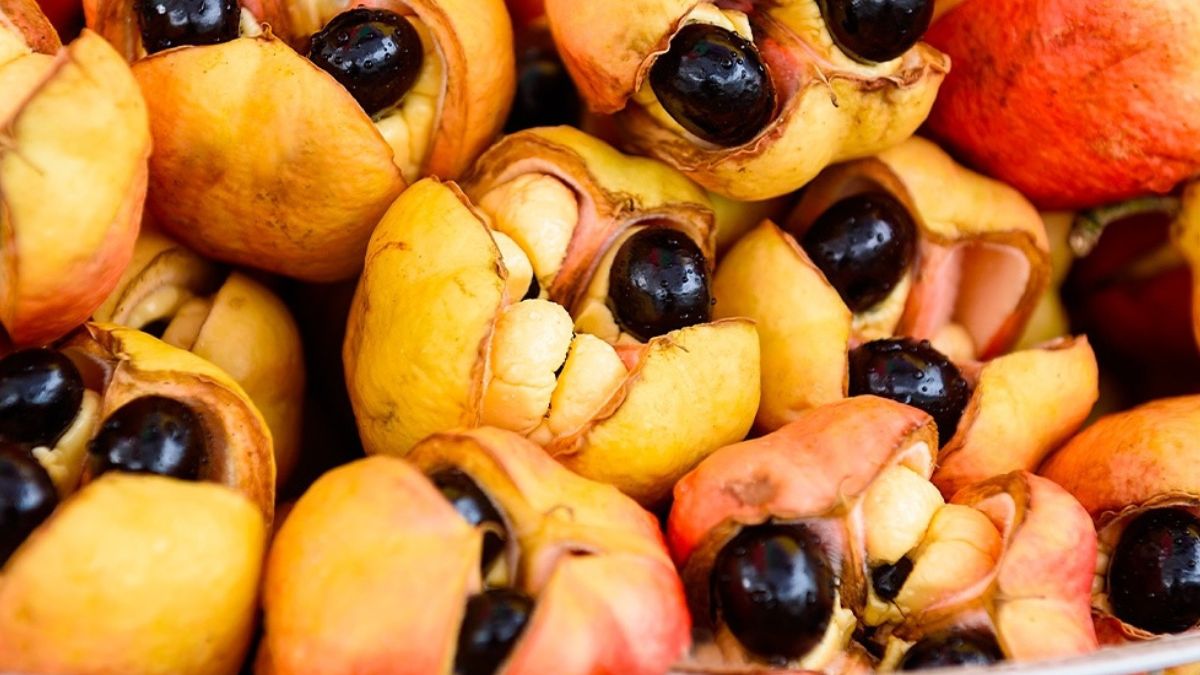 Top 10 Most Dangerous Foods In The World: This Indian Delicacy Is Also ...