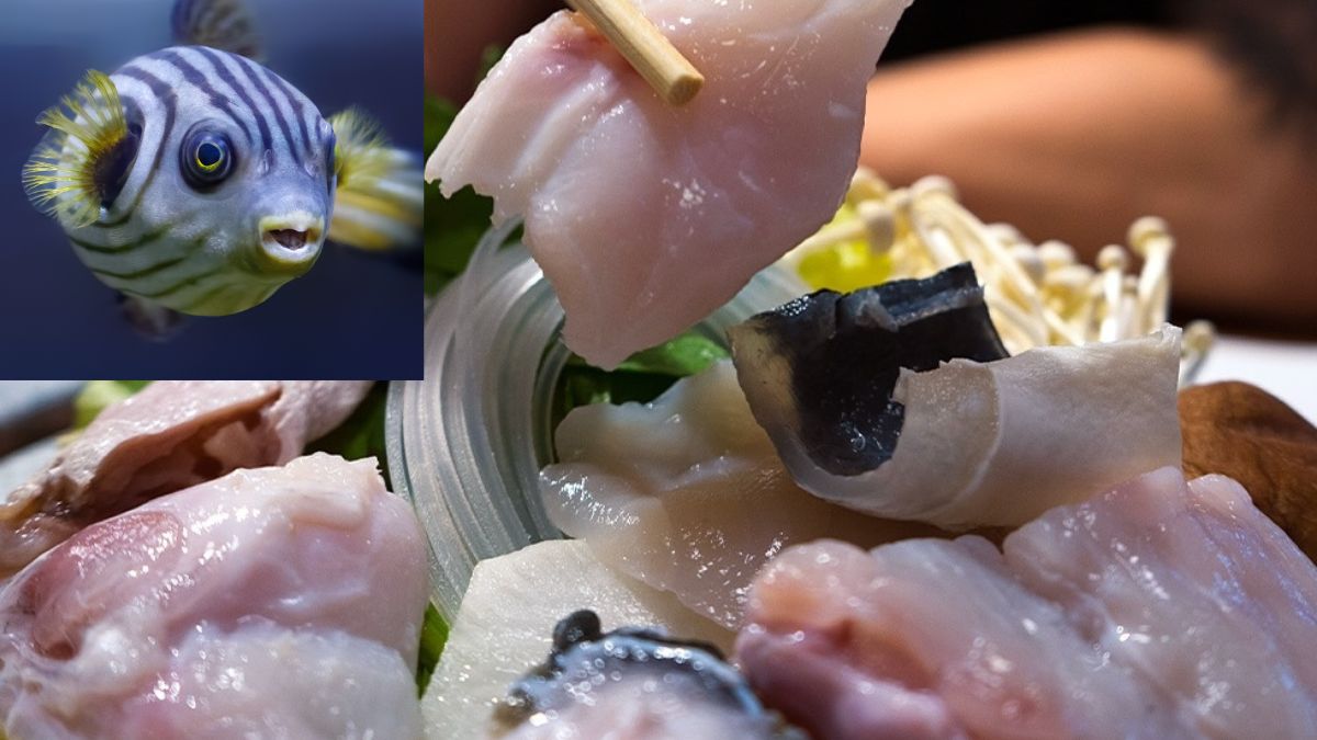 Top 10 Most Dangerous Foods In The World: This Indian Delicacy Is Also ...