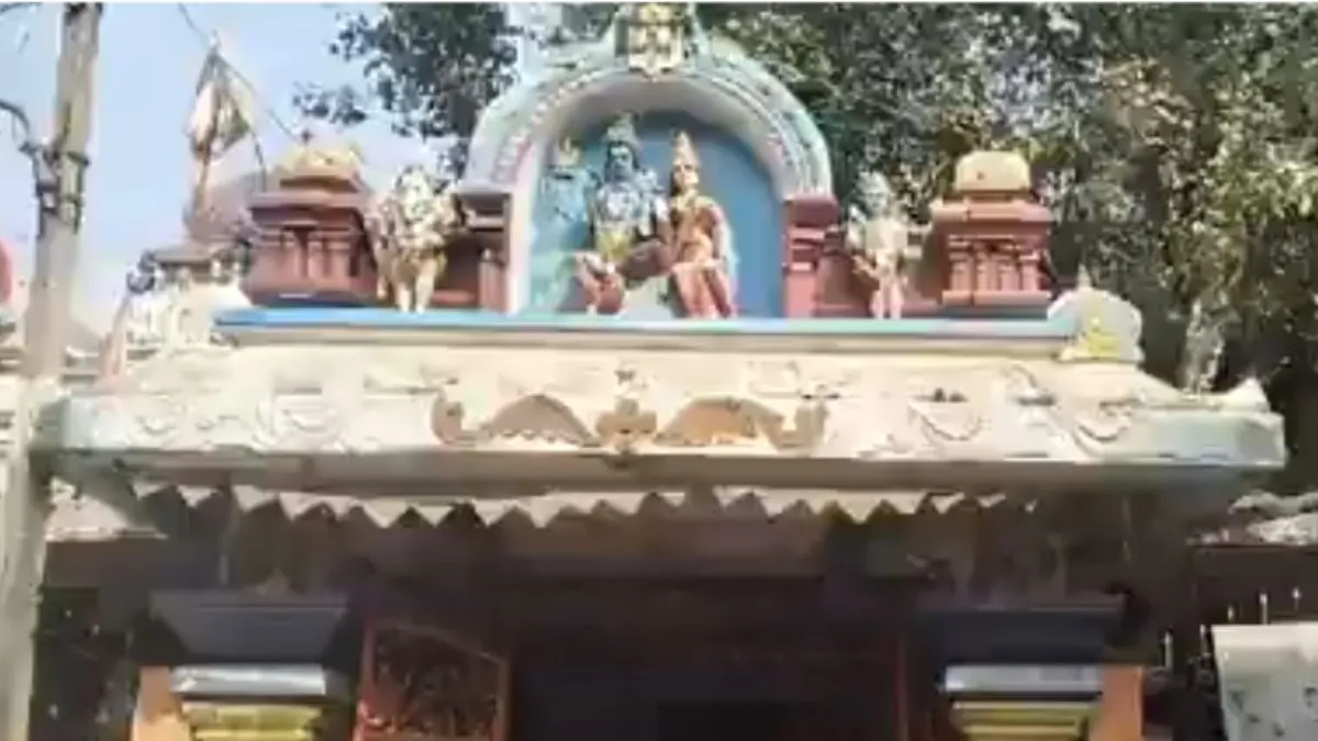 Hyderabad Temple Meat Controversy Resolved, Police Clarify 'Cat Brought ...