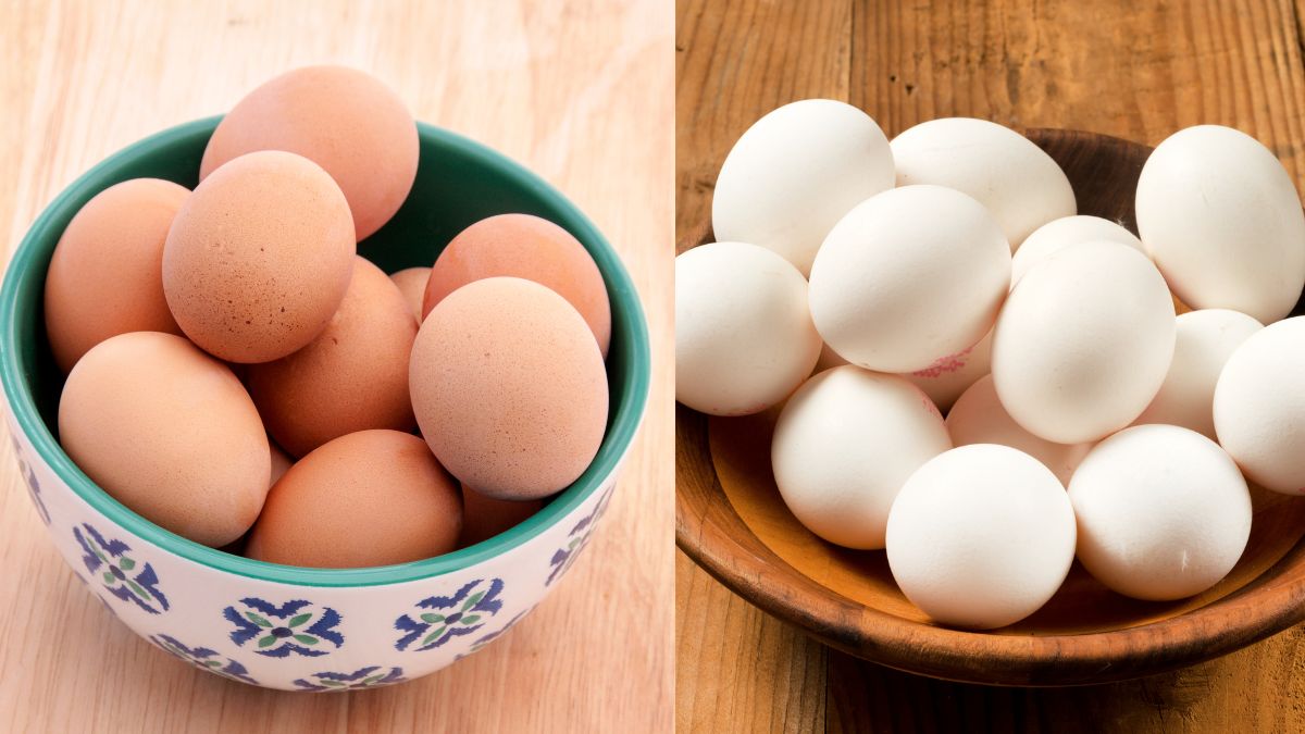 Desi Eggs vs White Eggs: Which Is A More Healthy Option? Know Benefits