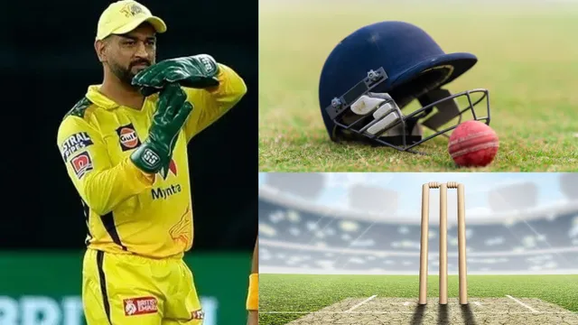 30+ Popular Cricket Terms And Abbreviations You Must Know: LBW, DRS And ...