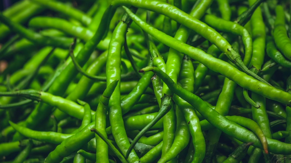 Why You Should Eat Green Chillies With Your Meals| Know Astonishing ...