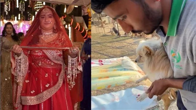 Dehradun Bride’s Love For Dogs Shines At Wedding With Rescue Pup As ...