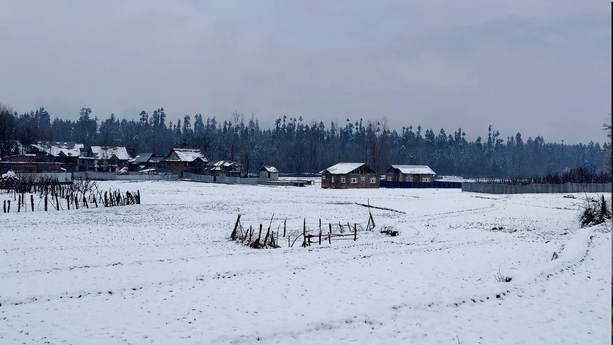 Weather Update: Fresh Snowfall In Jammu-Kashmir, Himachal Breaks Dry ...