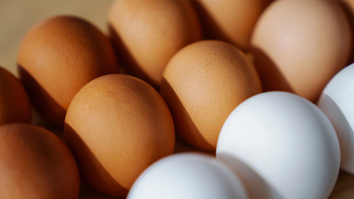 5 Easy Ways To Check If Your Eggs Are Real Or Fake