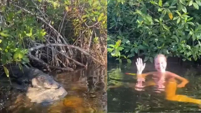 Daring Or Reckless? Woman’s Close Encounter With Giant Crocodile Leaves ...