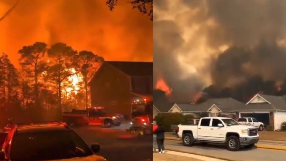 US Battles Deadly South Carolina Wildfires, Netizens Fuel Conspiracy ...