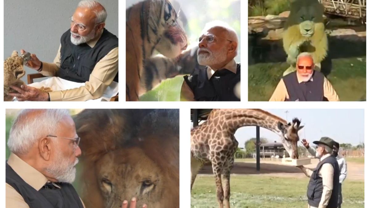 PM Modi Vantara Visit Video: PM Modi Inaugurates Animal Rescue ...