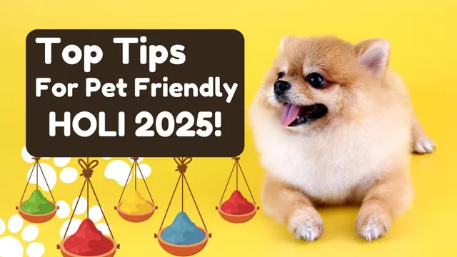 Pet Friendly Holi 2025: Tips And Tricks To Celebrate The Festival ...