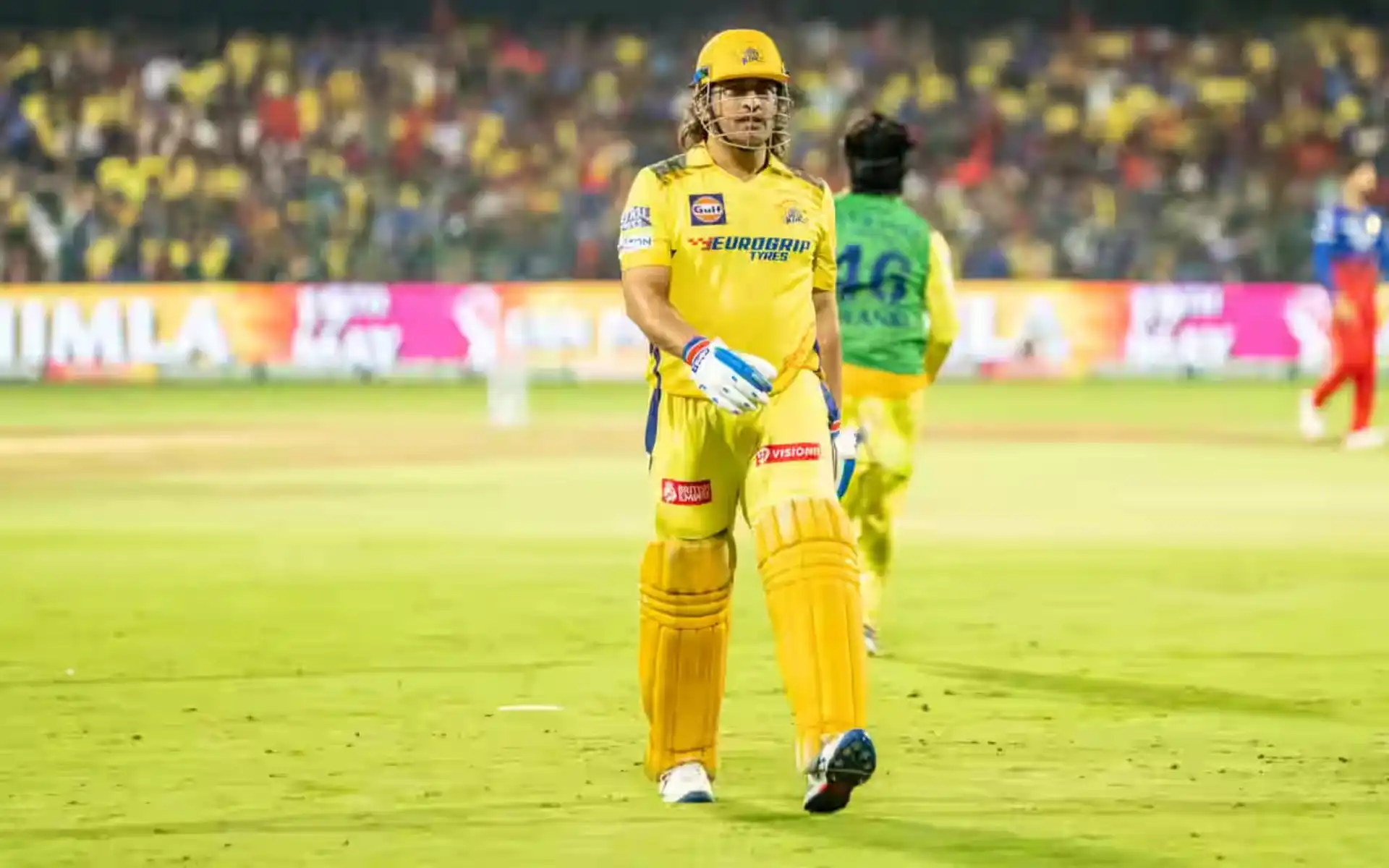 From MS Dhoni To R Ashwin, Five Players Who Might Play Their Last Season In IPL 2025
