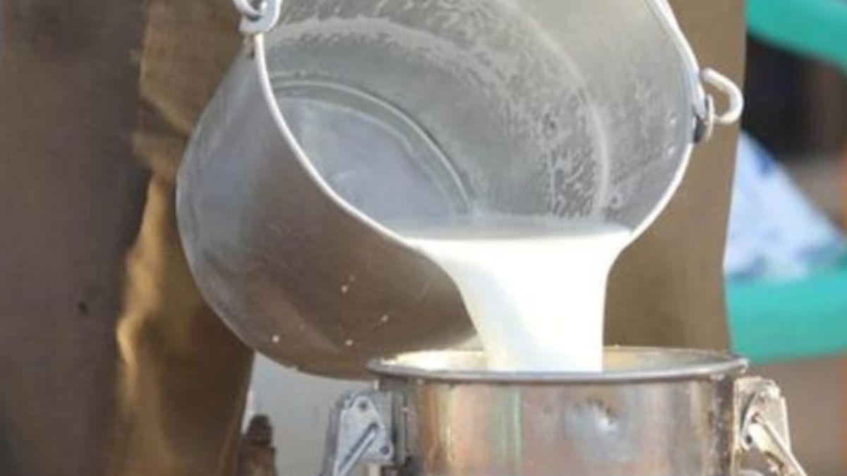 Milk Prices Set To Skyrocket In THIS State After Cow And Buffalo Milk ...
