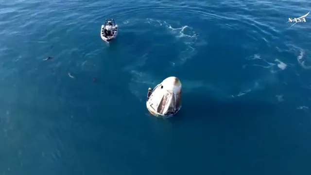 VIDEO: Dolphins Give Stunning Welcome As Sunita Williams And Crew-9 ...