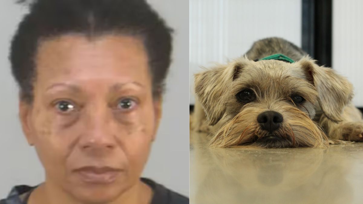 US Shocker: Louisiana Woman Drowns Dog In Airport Bathroom After Being ...