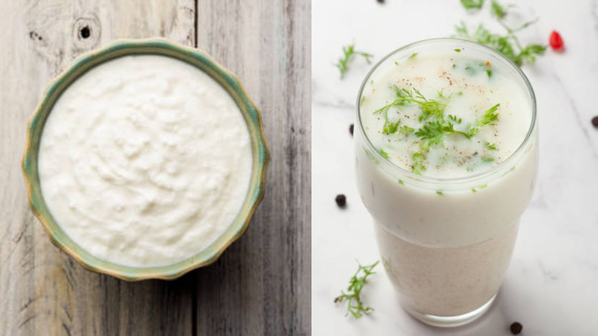 Curd vs Buttermilk: Which Is A Better Choice For Your Health During Summer?