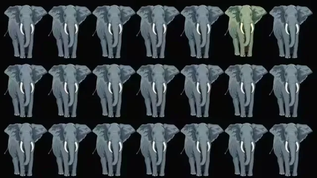 Optical illusion: Only Few Can Find The Odd Elephant; Can You Beat The ...