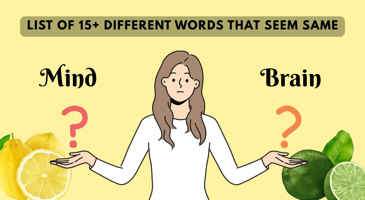 List Of 15+ Different Words That Seem Same And Their Meanings: Mind ...