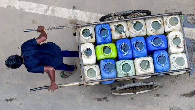 Breakthrough in Biodegradable Plastics: Japan Develops New Plastic That ...