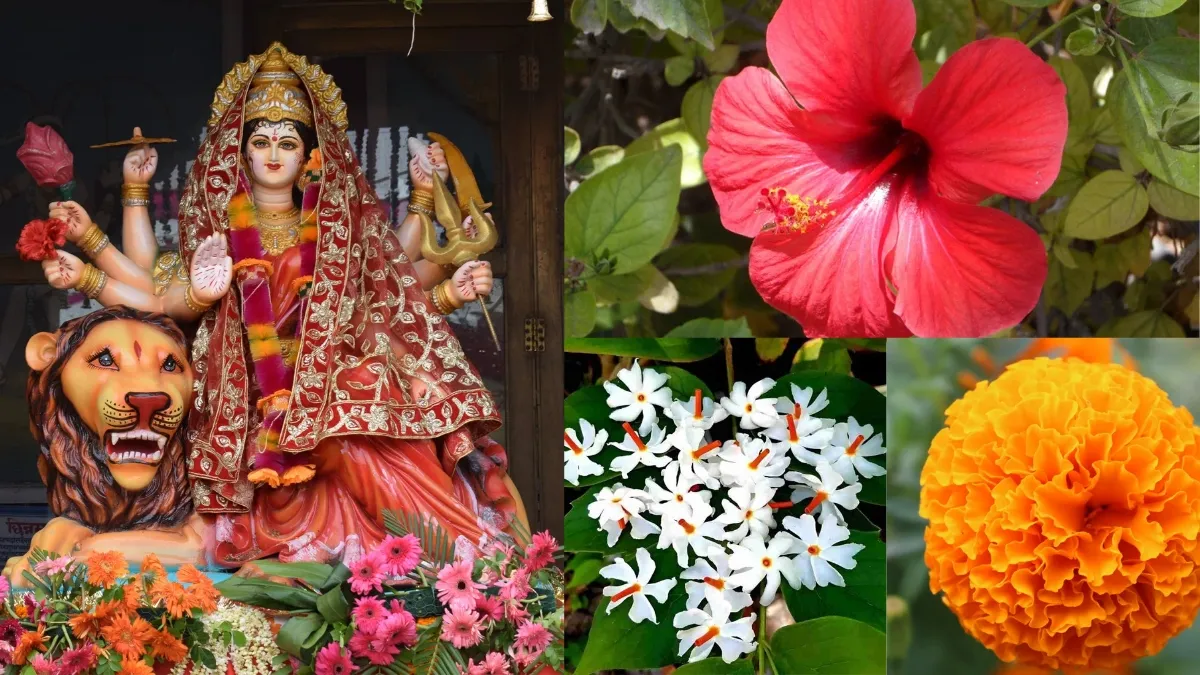 Chaitra Navratri Special: 9 Divine Flowers For Nine Forms Of Maa Durga ...