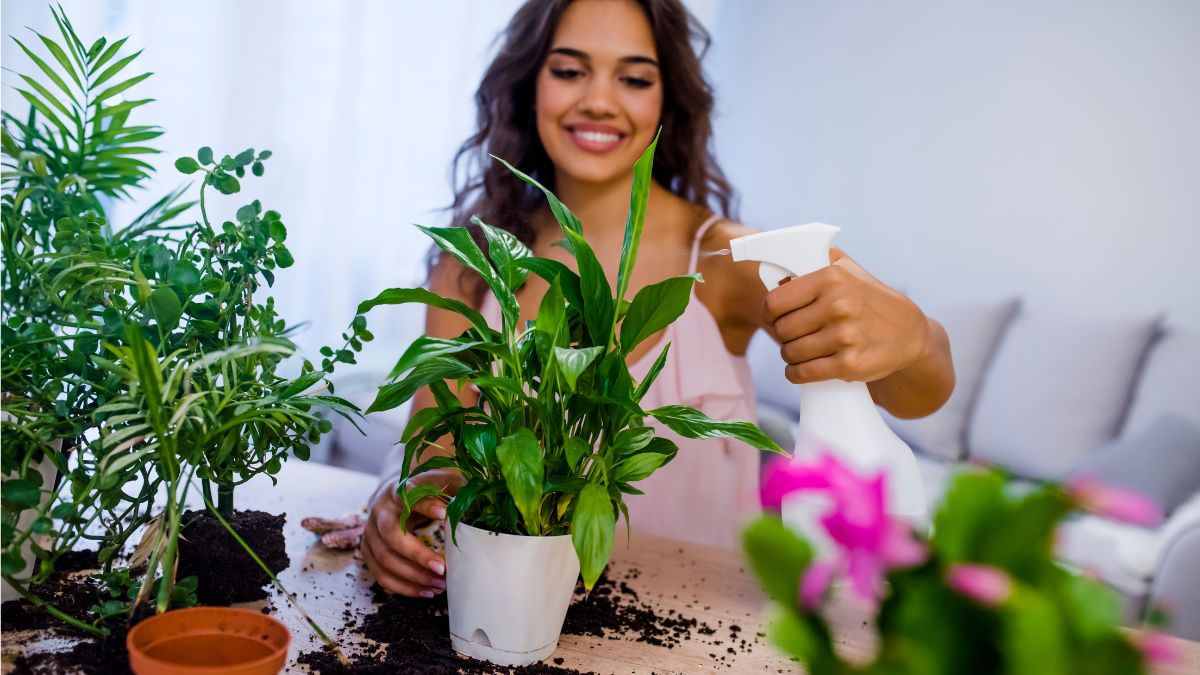 6 Amazing Health Benefits Of Keeping Indoor Plants At Home