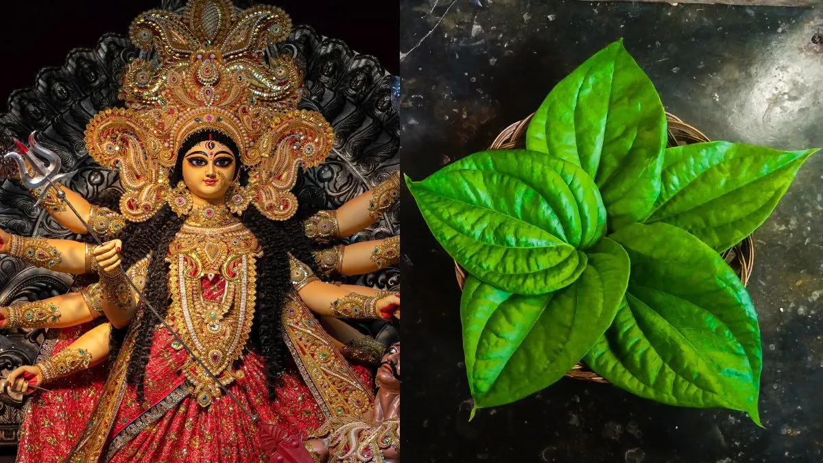 Chaitra Navratri 2025: Perform These 4 Remedies Using Paan Patta Or ...