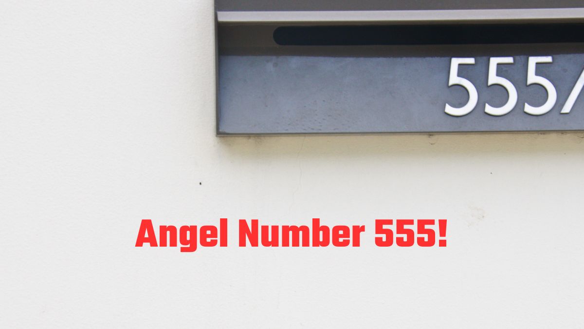 Angel Number 555: What Is It's Meaning In Life, Health, Career And Love
