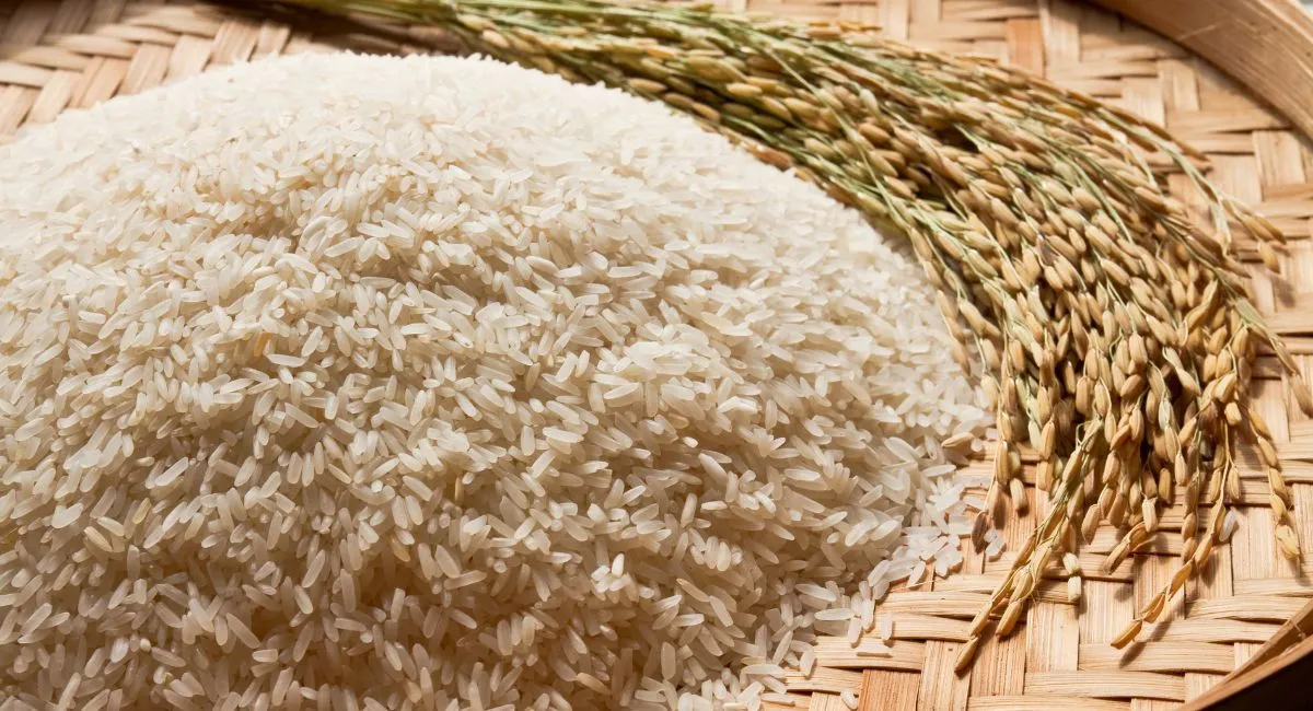 Bihar Govt Pushes Fortified Rice Awareness, Dealers To Conduct Door-to ...
