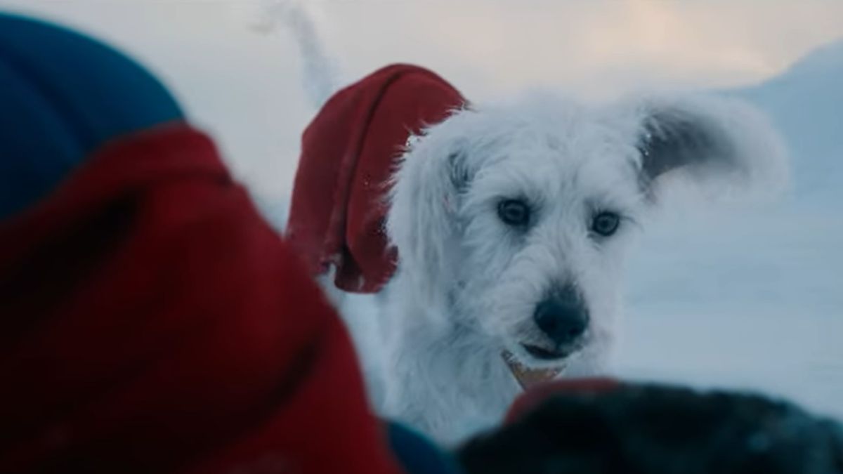 Krypto The Superdog: Know About Superman's Pet Who Is Making Live ...