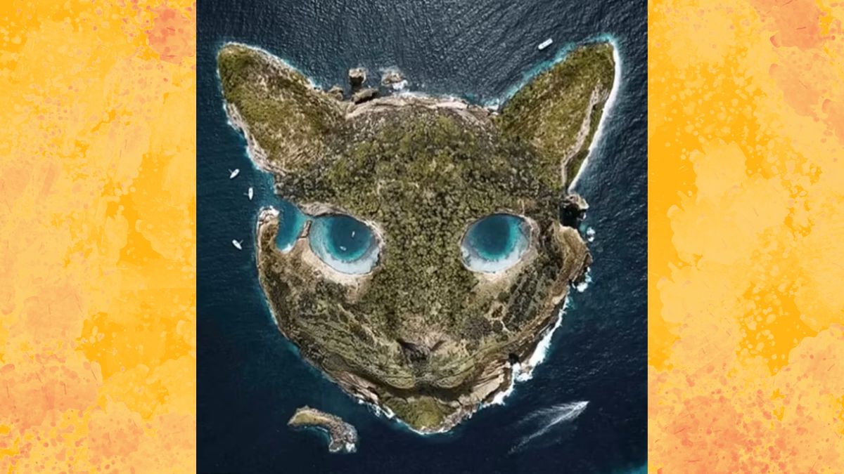 Optical Illusion Personality Test: What You See First In This Picture ...