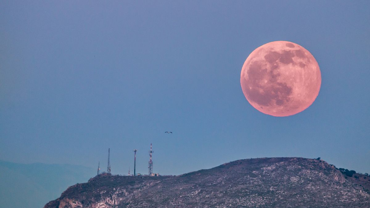 April Pink Moon 2025 To Appear As ‘Micromoon’: When And How To Watch In ...