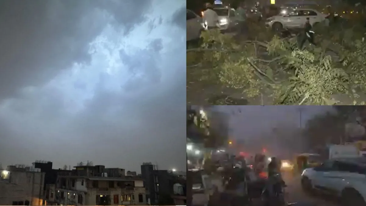 Delhi Weather: Strong Dust Storm Hits NCR; Trees Uprooted, 15 Flights ...