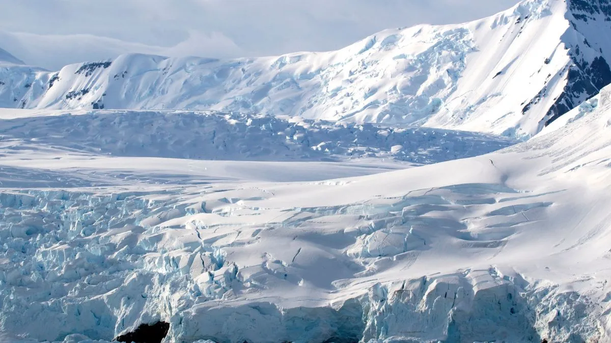 Antarctica’s 40-Year Mystery: Scientists Reveal What Caused ...