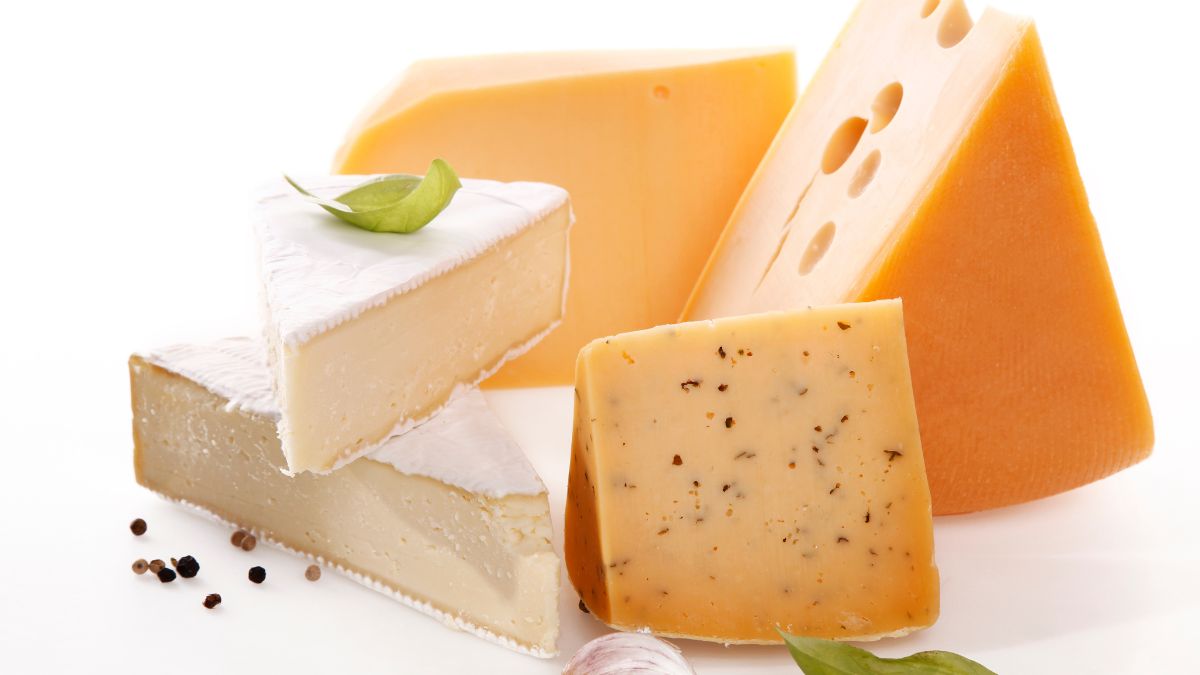 5 Foolproof Tips to Keep Your Cheese Fresh and Delicious For Long Time