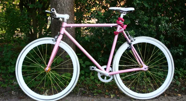 Bihar’s Bicycle Distribution Scheme Empowers Schoolgirls; Survey ...