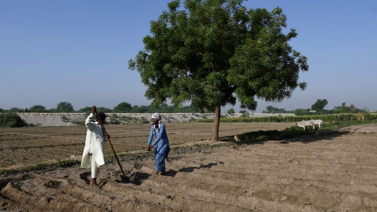 'We Will Die of Hunger': Pakistan Turning Into Desert Without Indus ...