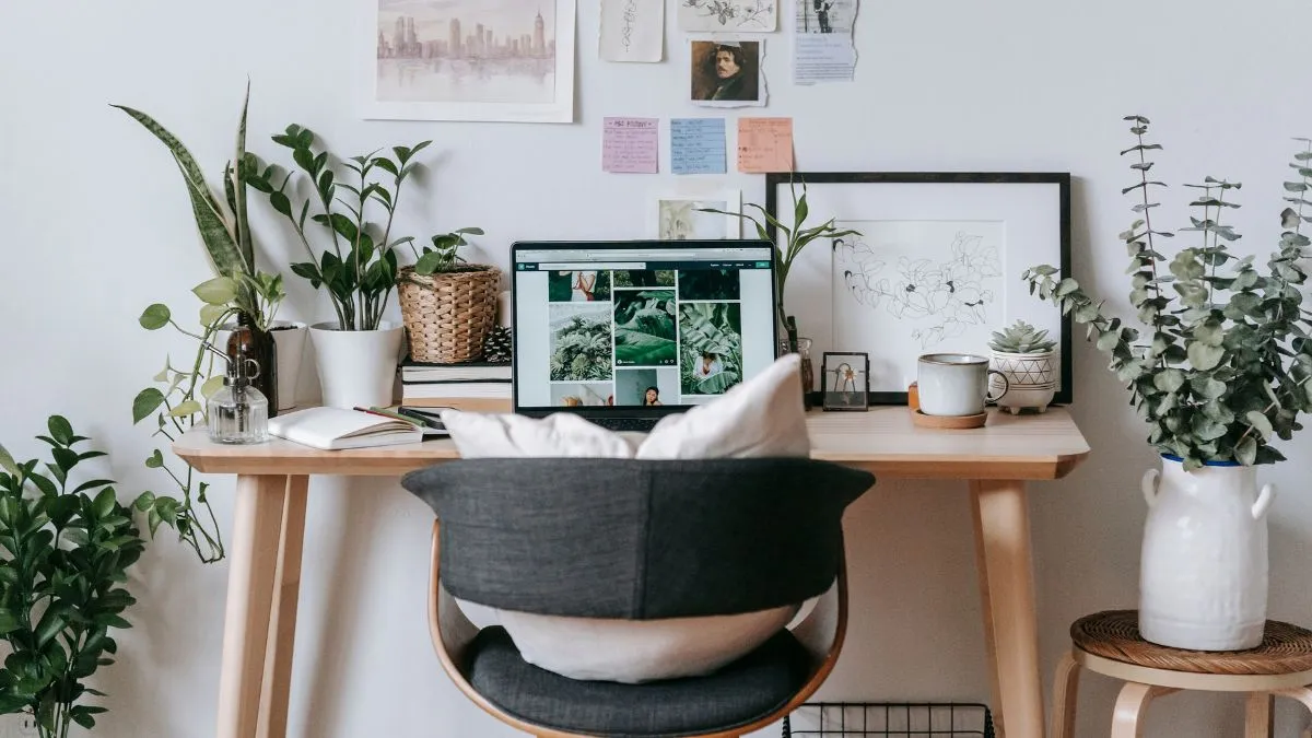 5 Low-Maintenance Desk Plants To Boost Your Productivity And Mood At Office