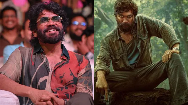 Why Pushpa And KGF Became Blockbuster In Hindi Belt? Nagarjuna Says ...