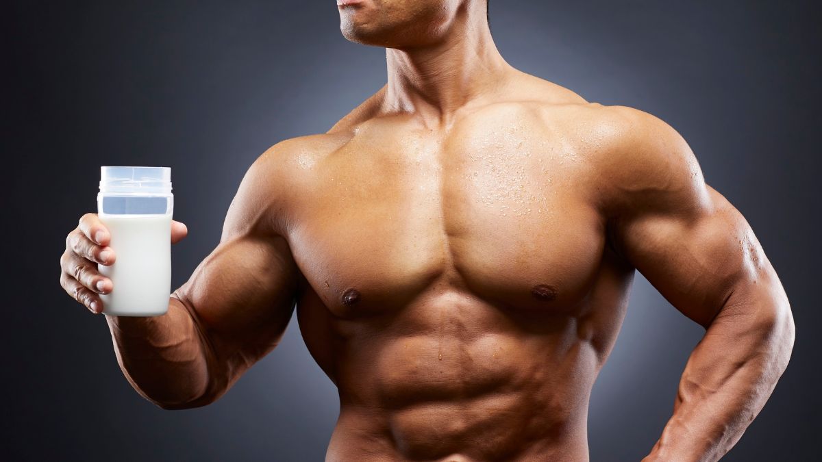Creatine vs Protein: Which Supplement Should You Choose For Building ...