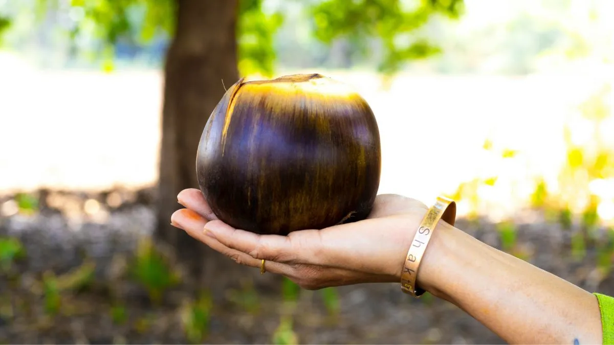 5 Amazing Health Benefits Of Ice Apple To Beat The Heat This Summer