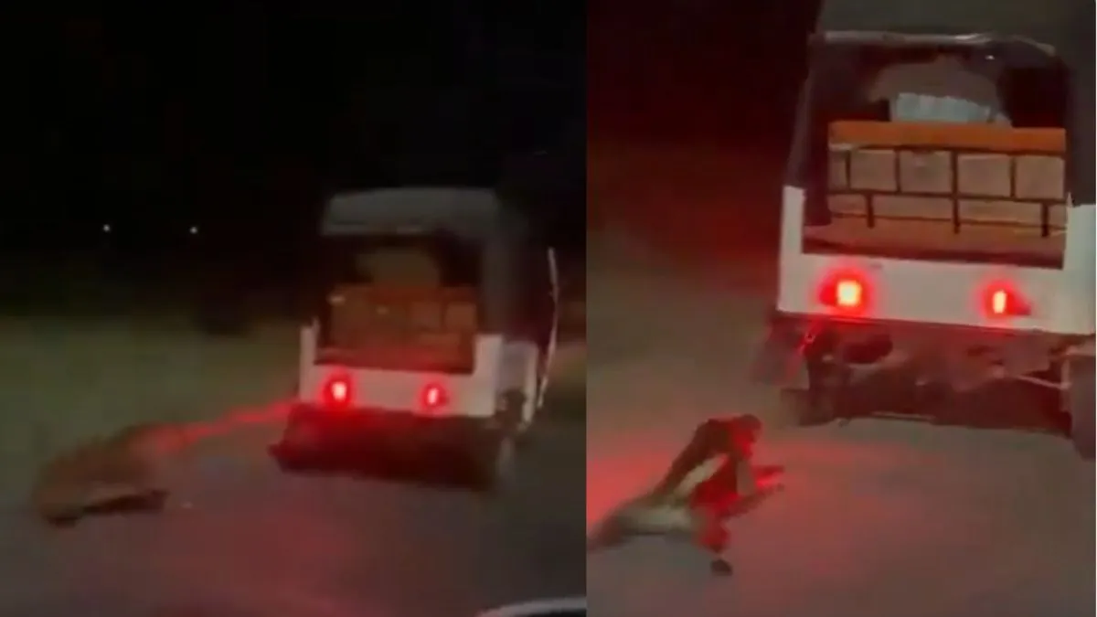 Greater Noida: Man Arrested After Viral Video Shows Dog Dragged Behind Auto