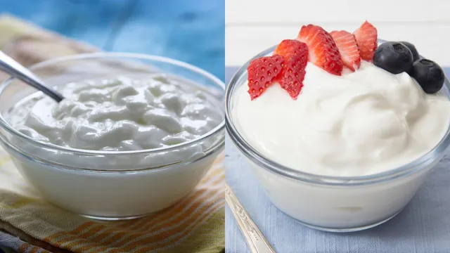 Curd vs Greek Yoghurt: What Is The Difference And Which One Is Healthier?