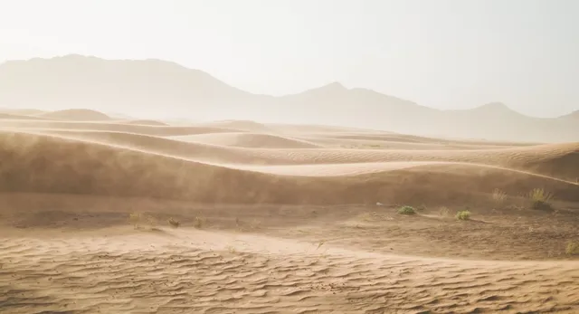 Bihar Govt To Form Committees For Non-Auctioned Sand Ghats, To Focus On ...