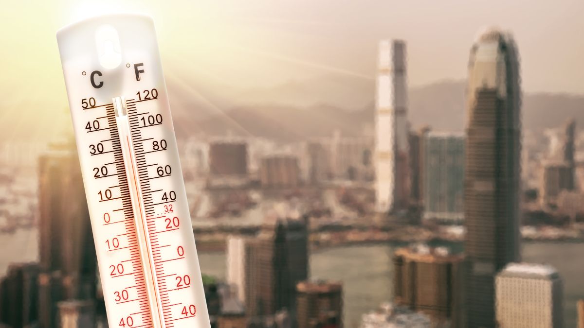 8 Proven Tips You Must Follow To Protect Yourself During Heatwave