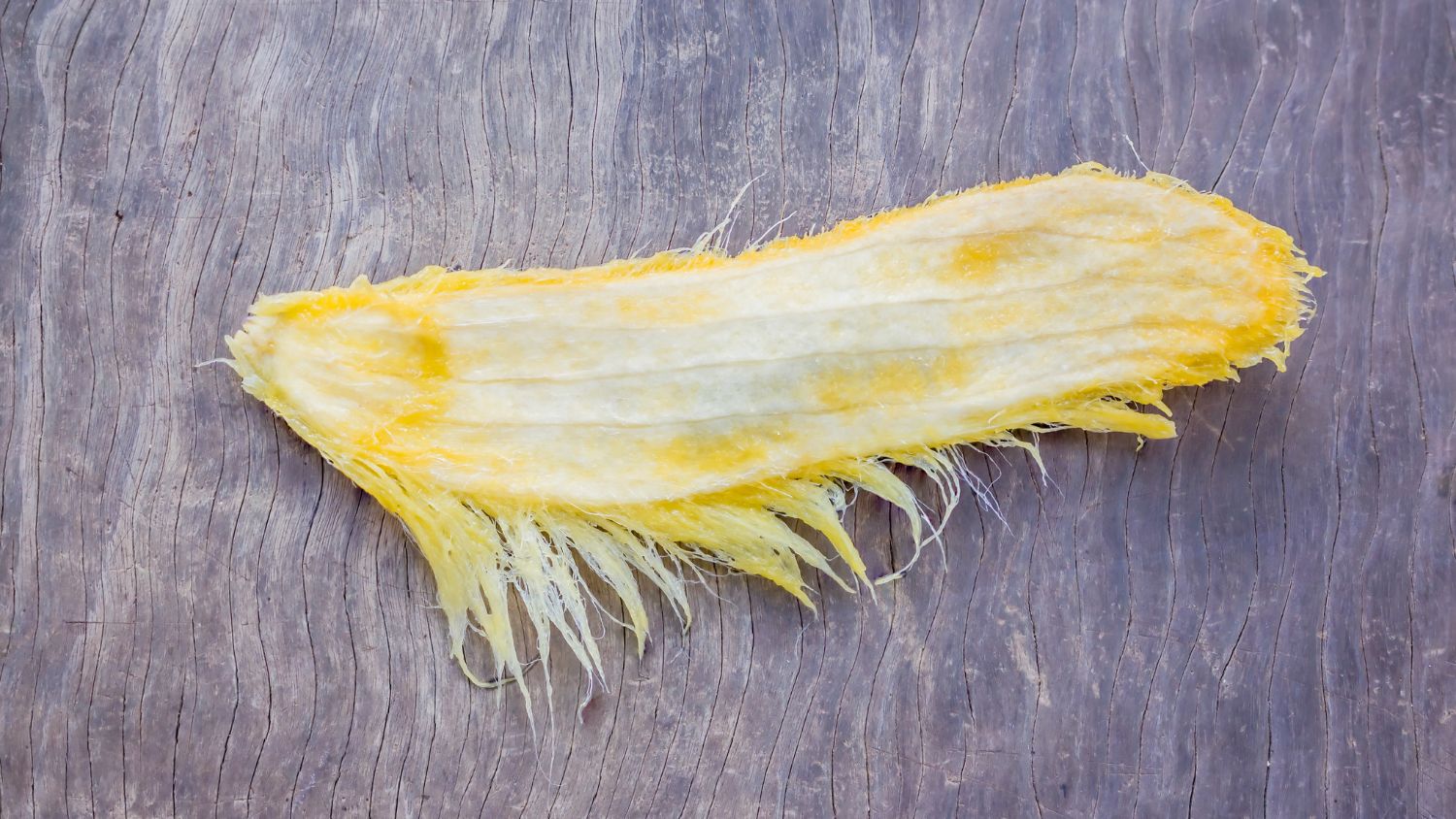5 Surprising Benefits Of Mango Seeds That Deserve A Second Look Before ...