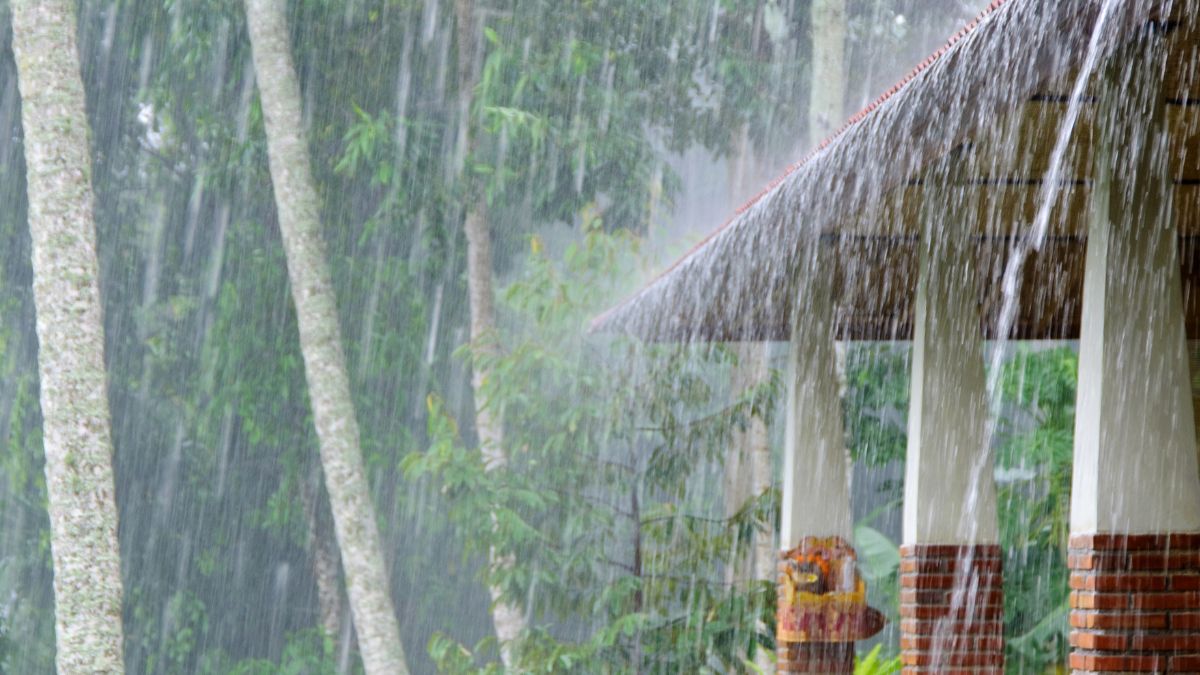 Top 10 Countries With Highest Rainfall In The Year: Colombia, Panama ...