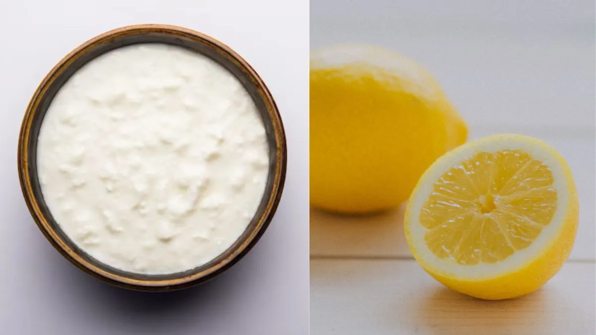 Why Is It Not Healthy To Combine Lemon With Curd? Here's The Truth